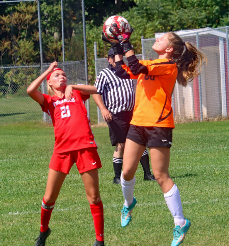 Local roundup: Montoursville girls tennis wins Queen of the Court ...